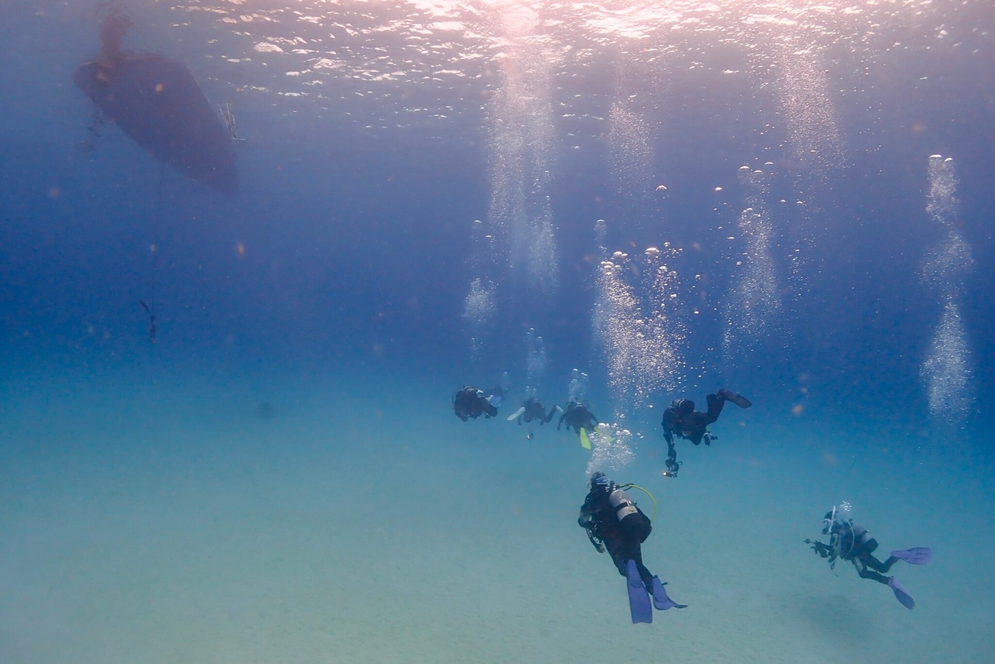 line_oa_chat_230222_211831_group_3-2048×1368｜マレア新宿店のスタッフブログ詳細｜PADIダイビング ...